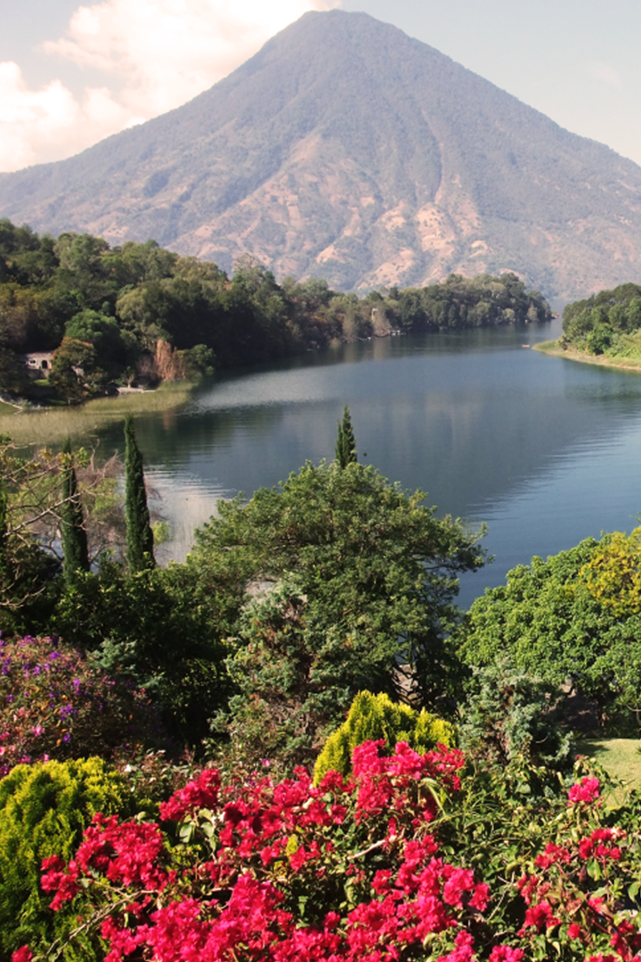 The Marvels of Latin American Botanicals In Skincare – Vavica